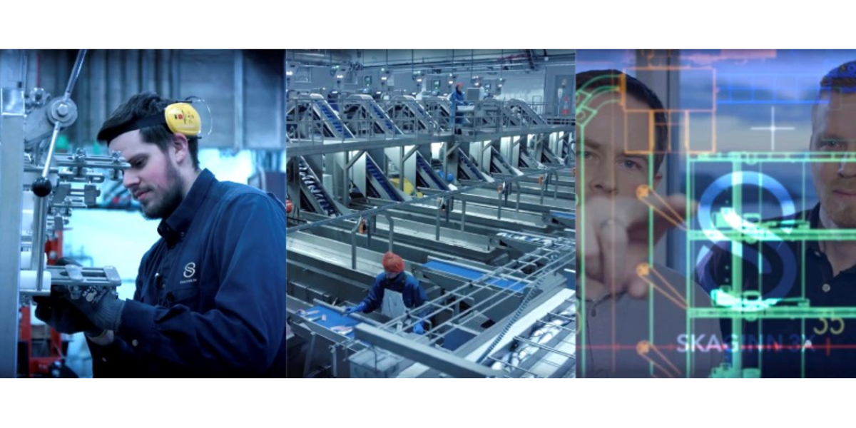 Skaginn 3X ehf. | Alfreð