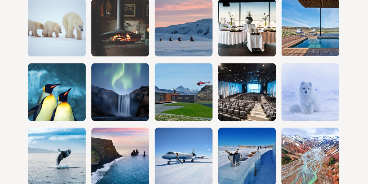 Destination Complete | Alfreð