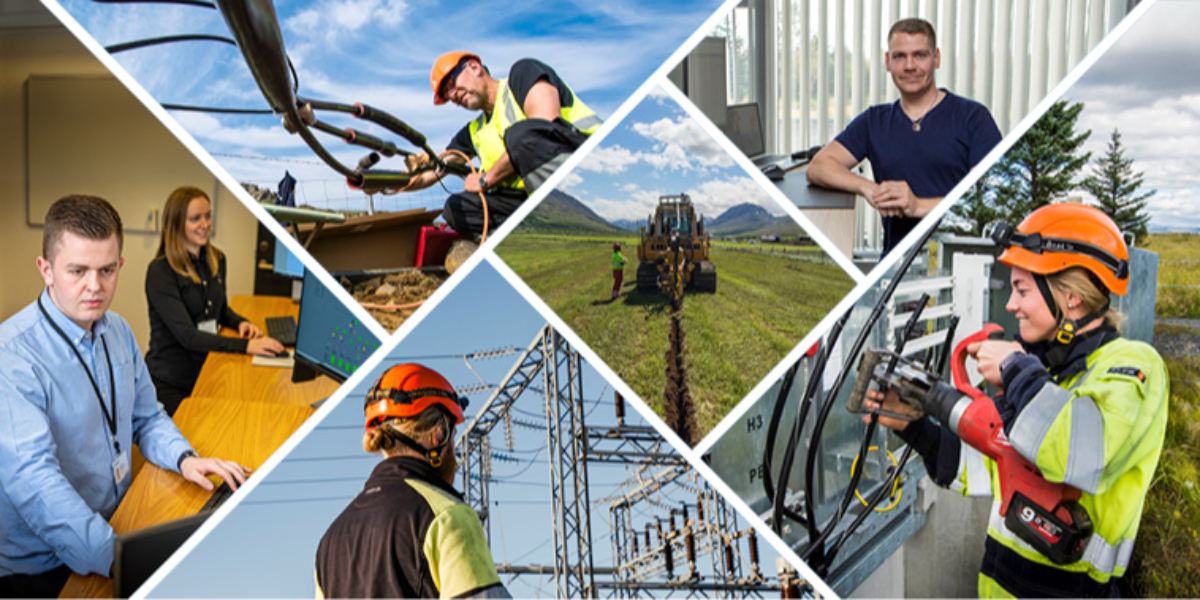 RARIK ohf. | Alfreð