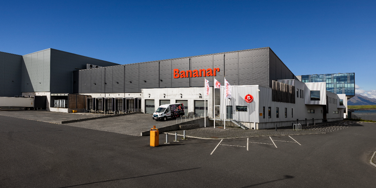 BANANAR | Alfreð
