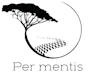 Almenn umsókn | Per mentis